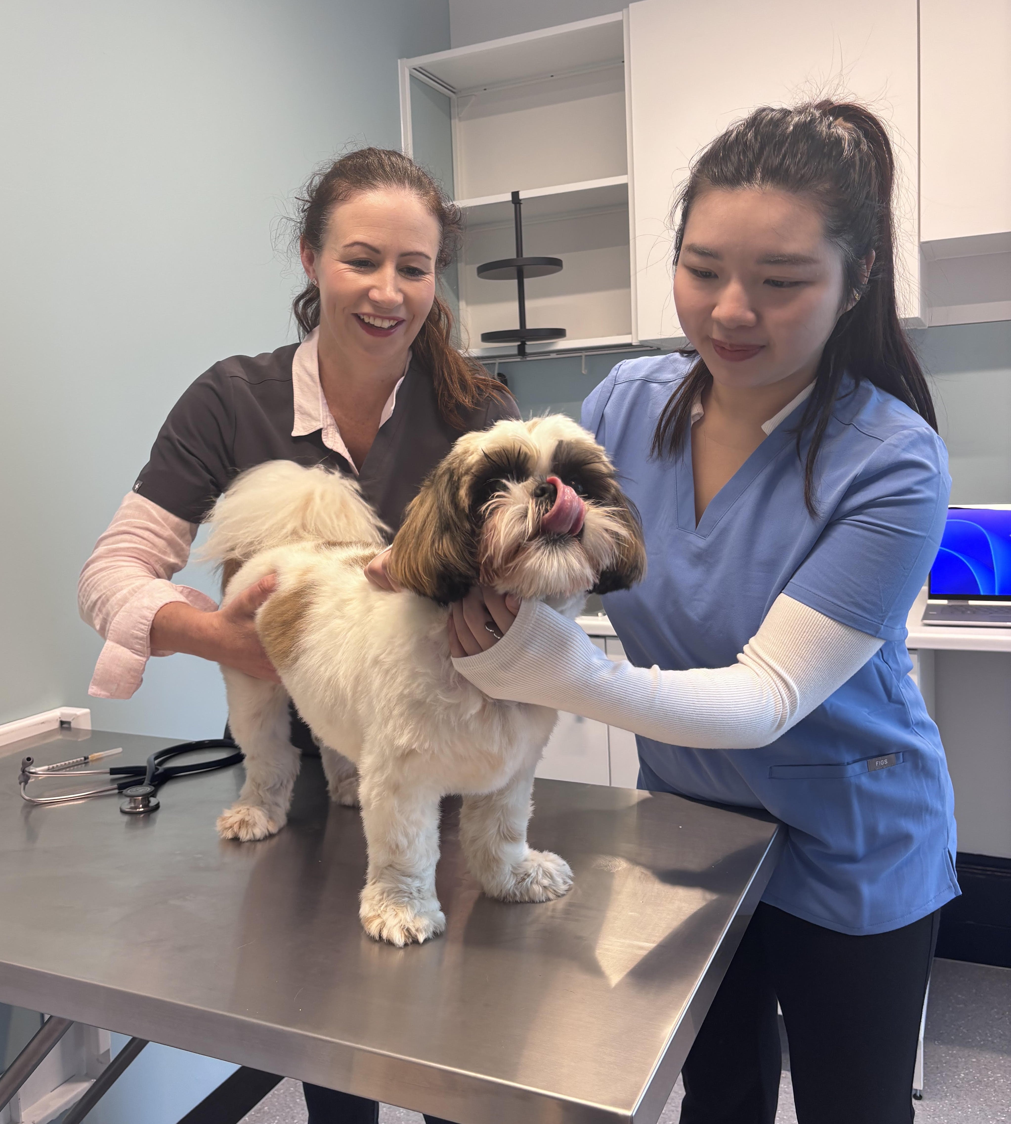 Darling Street Vets Balmain - Balmain Rozelle Chamber of Commerce