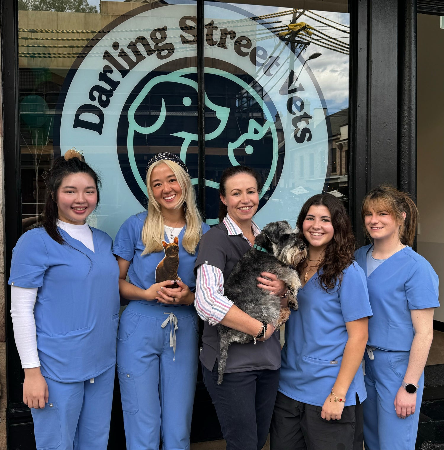 Darling St Vets – Darling Street Vets